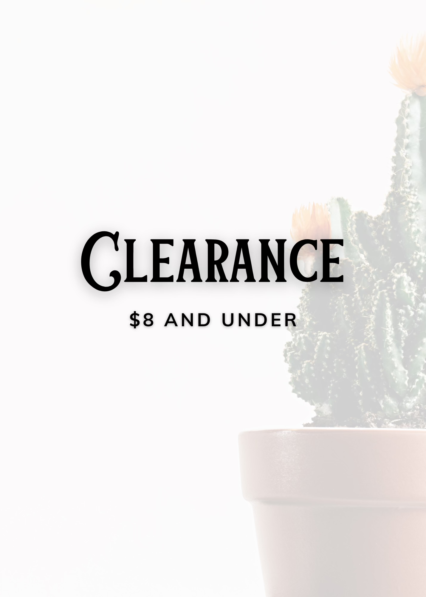 CLEARANCE – Desert Belle Jewlz